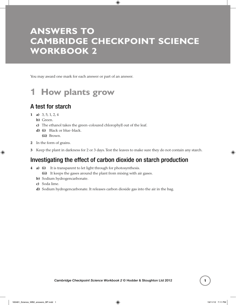 Science Workbook 2 answers