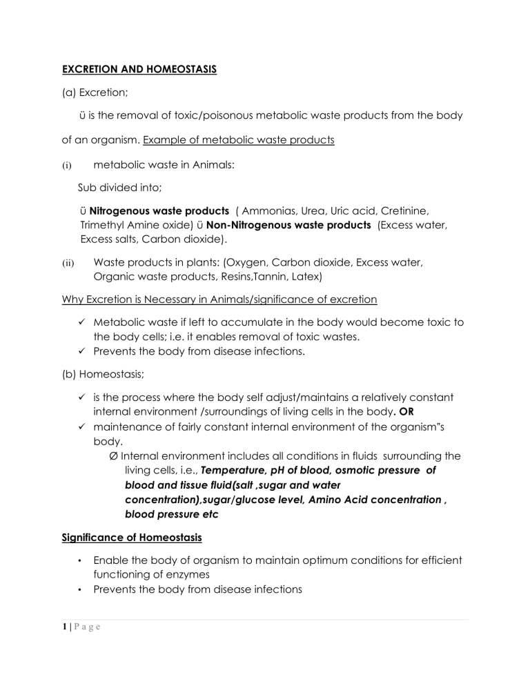 Excretion & Homeostasis: Study Guide for High School Biology