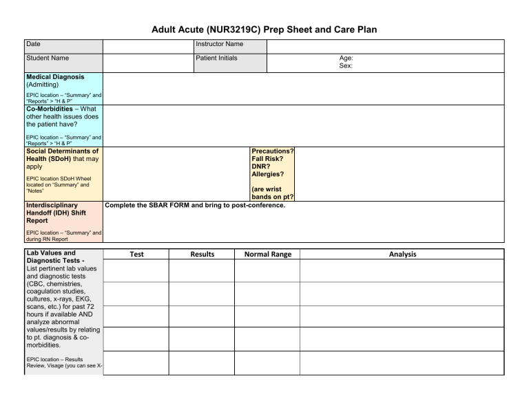 Adult Acute Care Prep Sheet & Care Plan Template
