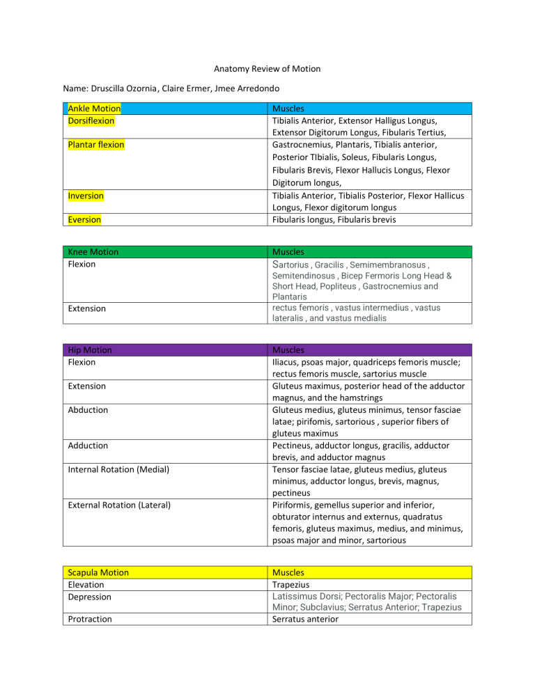 REHS 3330 Anatomy Review Worksheet REHS 3330 Anatomy Review Worksheet
