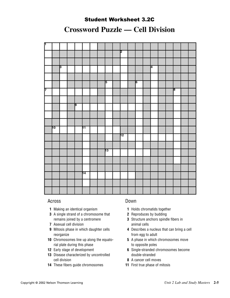 Cell Division Crossword Puzzle Cell Division Crossword Puzzle
