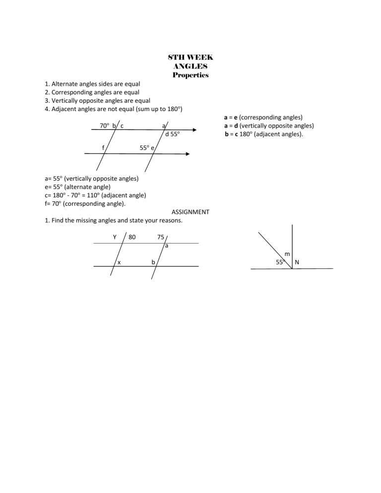 Angles: Properties and Practice Worksheet