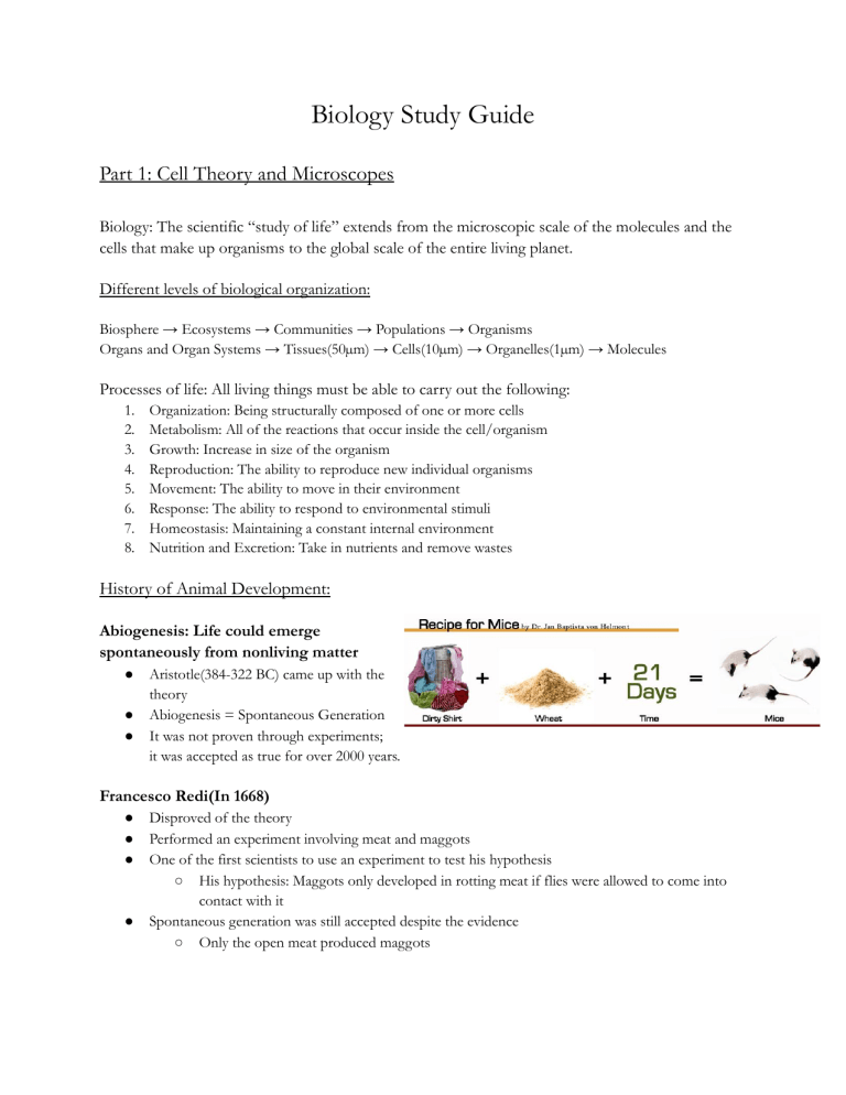 Biology Study Guide: Cell Theory & Microscopes