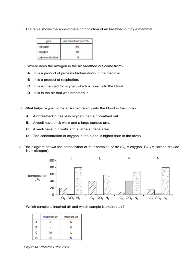 Gas Exchange Exam Questions: Mammalian Respiration