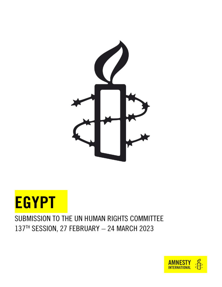 Egypt Human Rights Submission to UN Committee