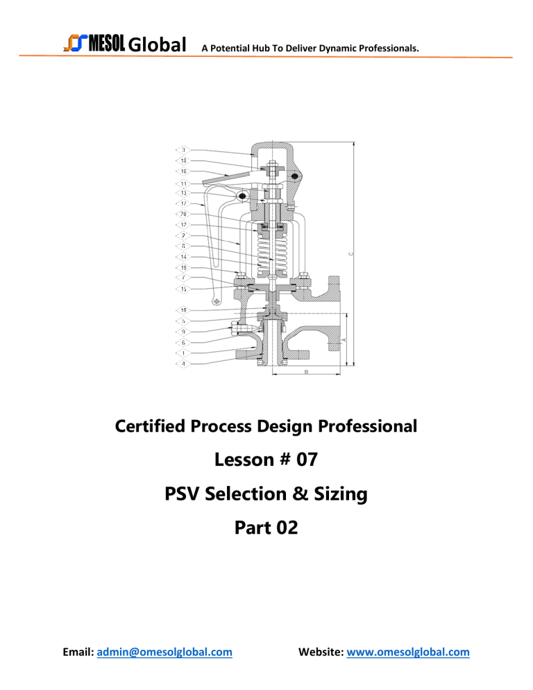 PSV Selection & Sizing: Lesson on Pressure Relief Valves