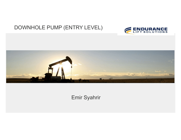 Downhole Pumps: Types, Operations & Components