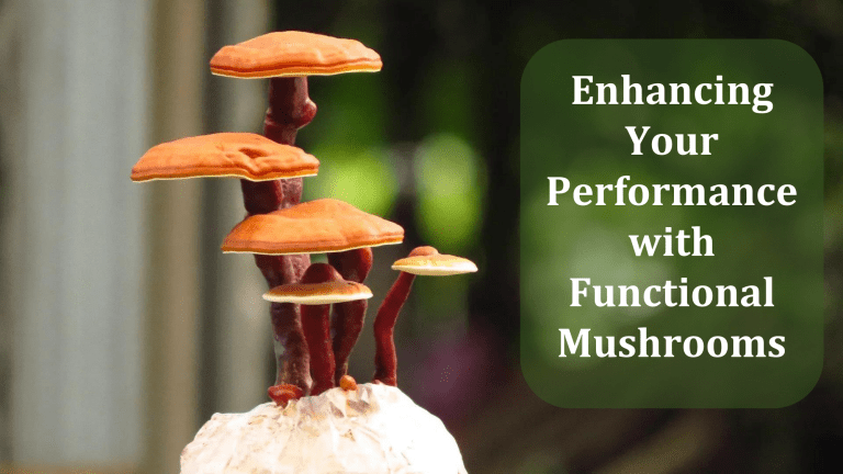 Functional Mushrooms for Workout Performance & Recovery
