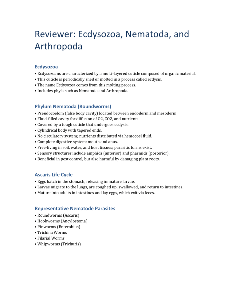Ecdysozoa, Nematoda, Arthropoda Review: Biology Notes