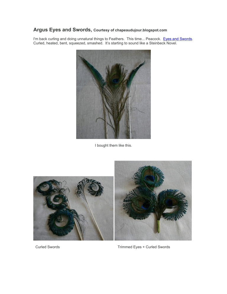 DIY Peacock Feather Curling & Trimming Tutorial