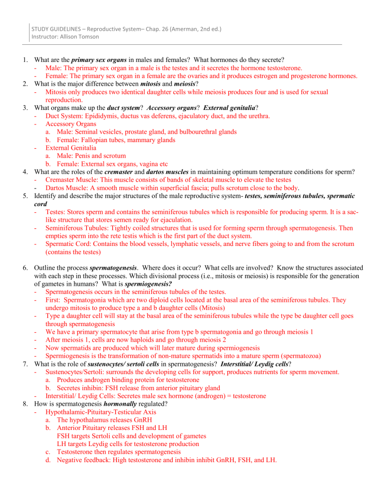 Reproductive System Study Guide: Anatomy & Physiology