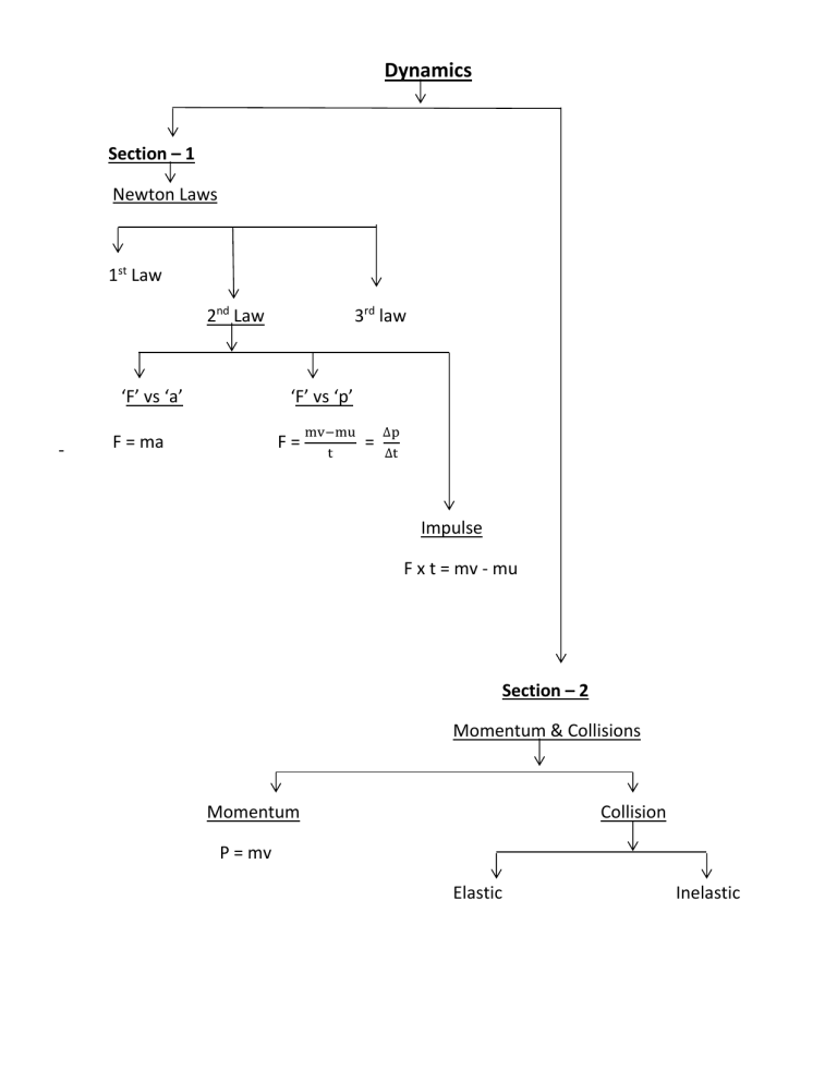 Dynamics: Newton's Laws, Momentum & Collisions Notes