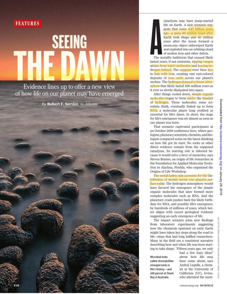Origin of Life on Earth: New Evidence and Theories