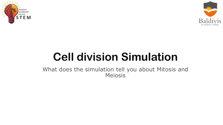 Mitosis & Meiosis Cell Division Simulation Lesson Plan