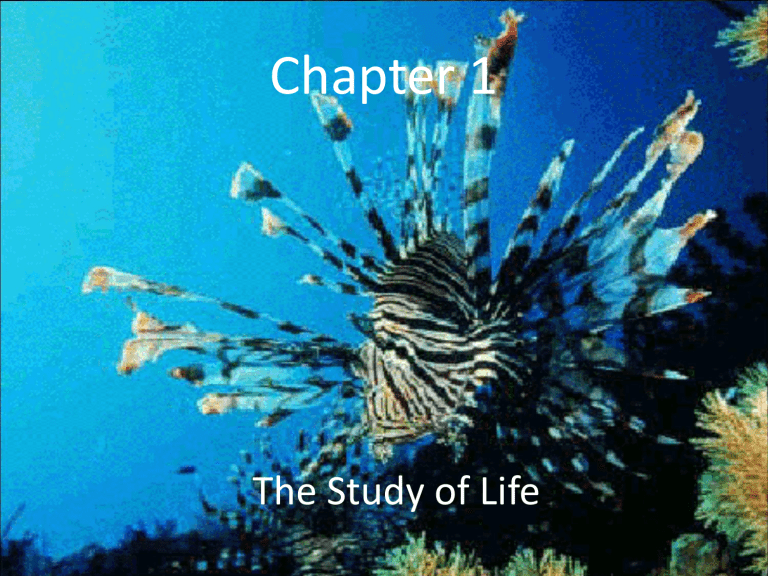 Biology: The Study of Life - Introduction to Biology