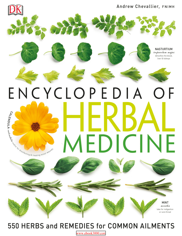 Encyclopedia of Herbal Medicine: A Comprehensive Guide