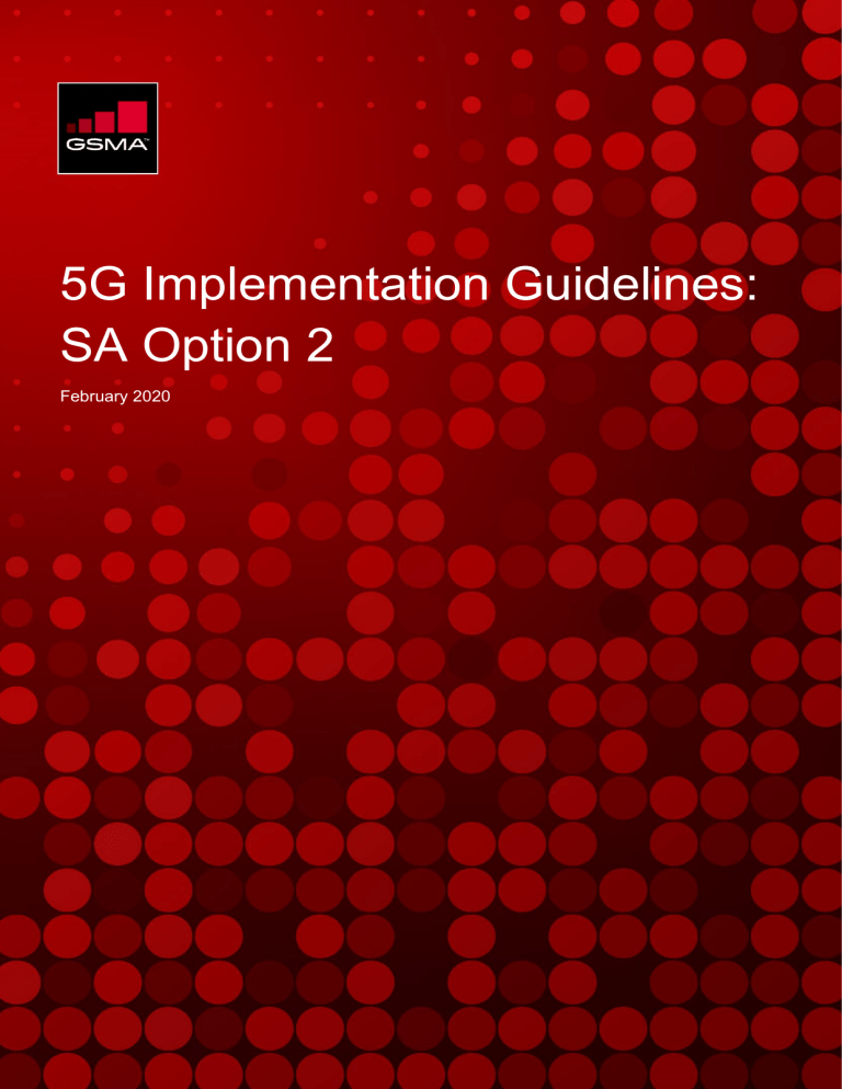 5G SA Option 2 Implementation Guidelines